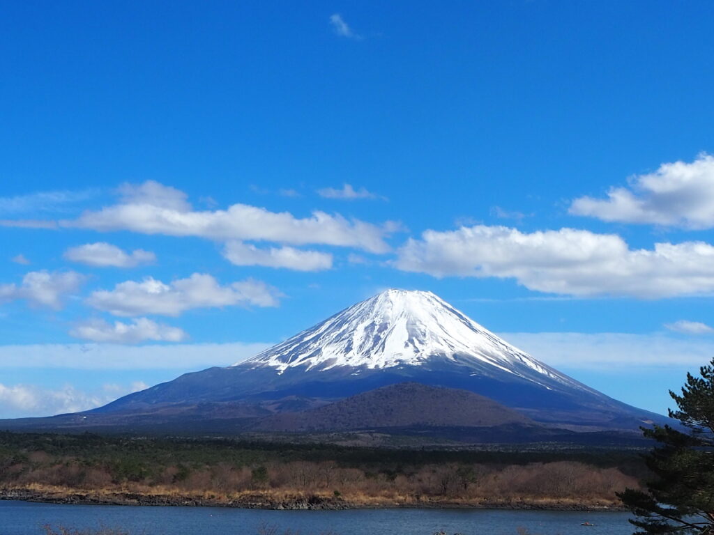 Overview – 合同会社IDM（IDM LLC)